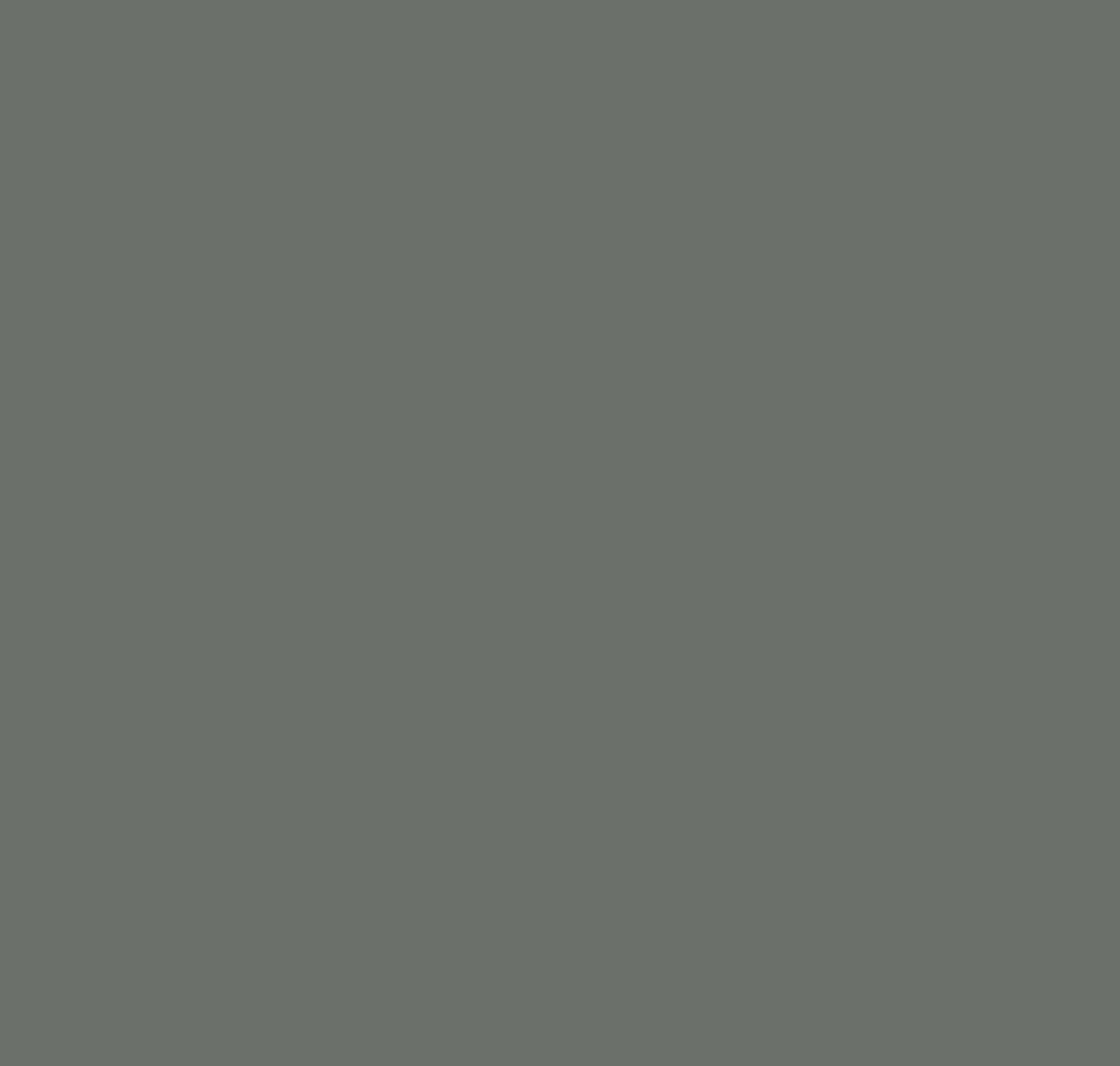 Millstone Gray 1581 | DesignShop