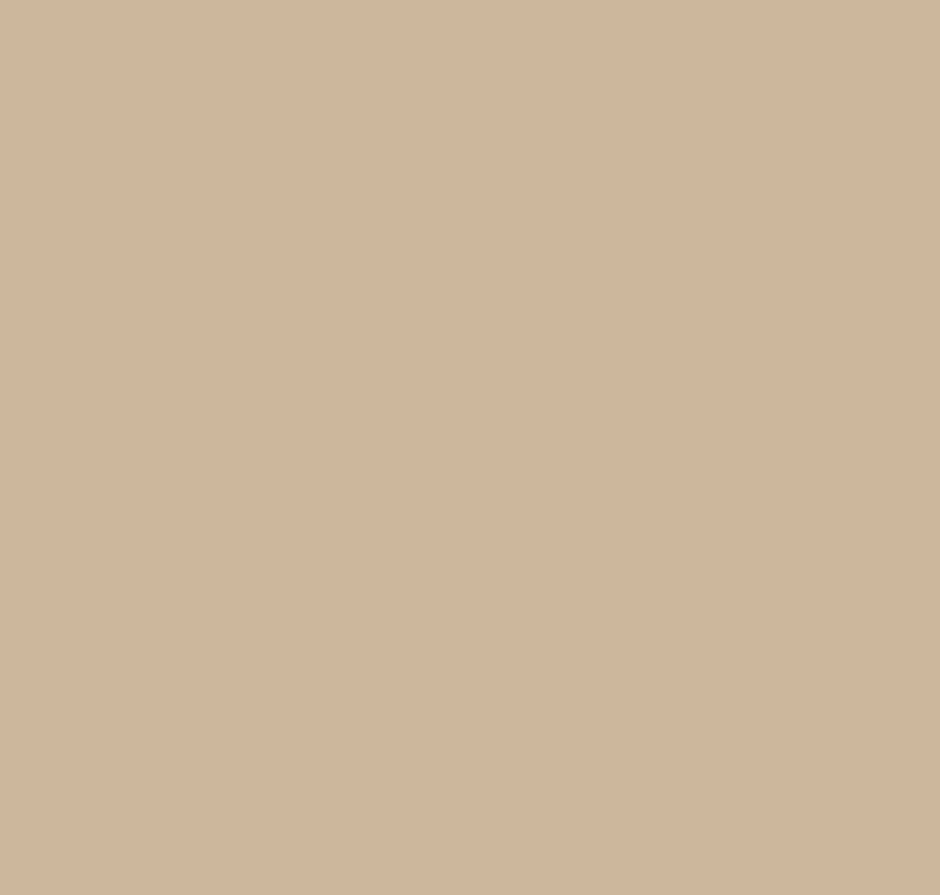 Macadamia | DesignShop