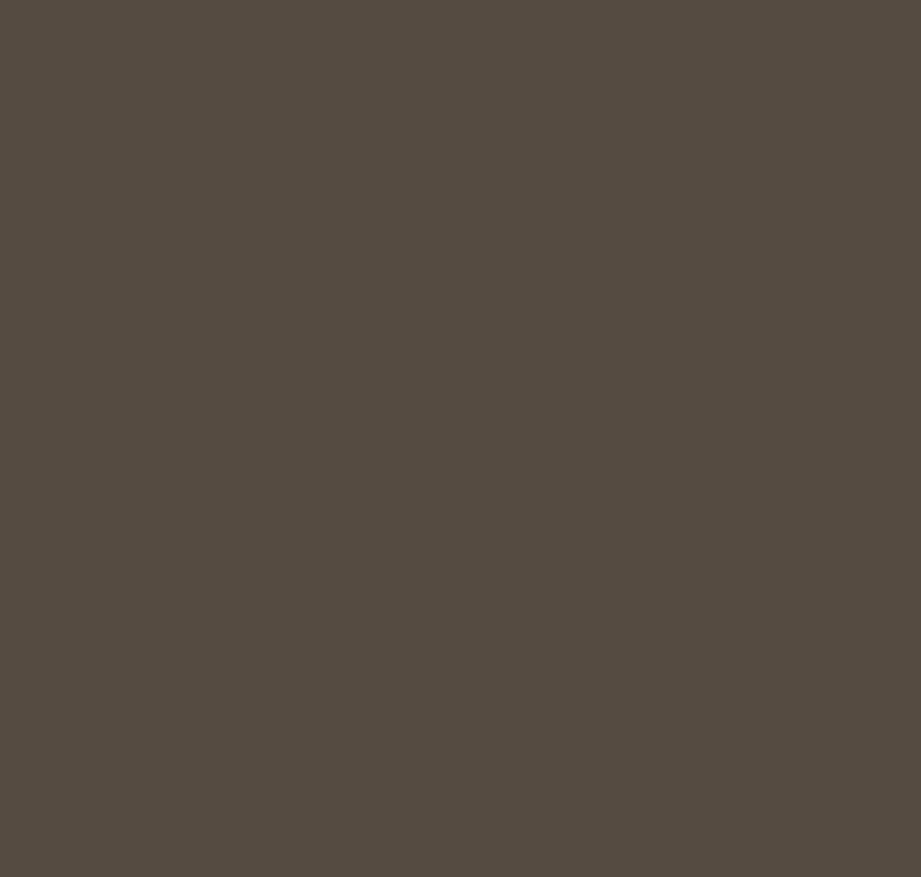 Enduring Bronze | DesignShop